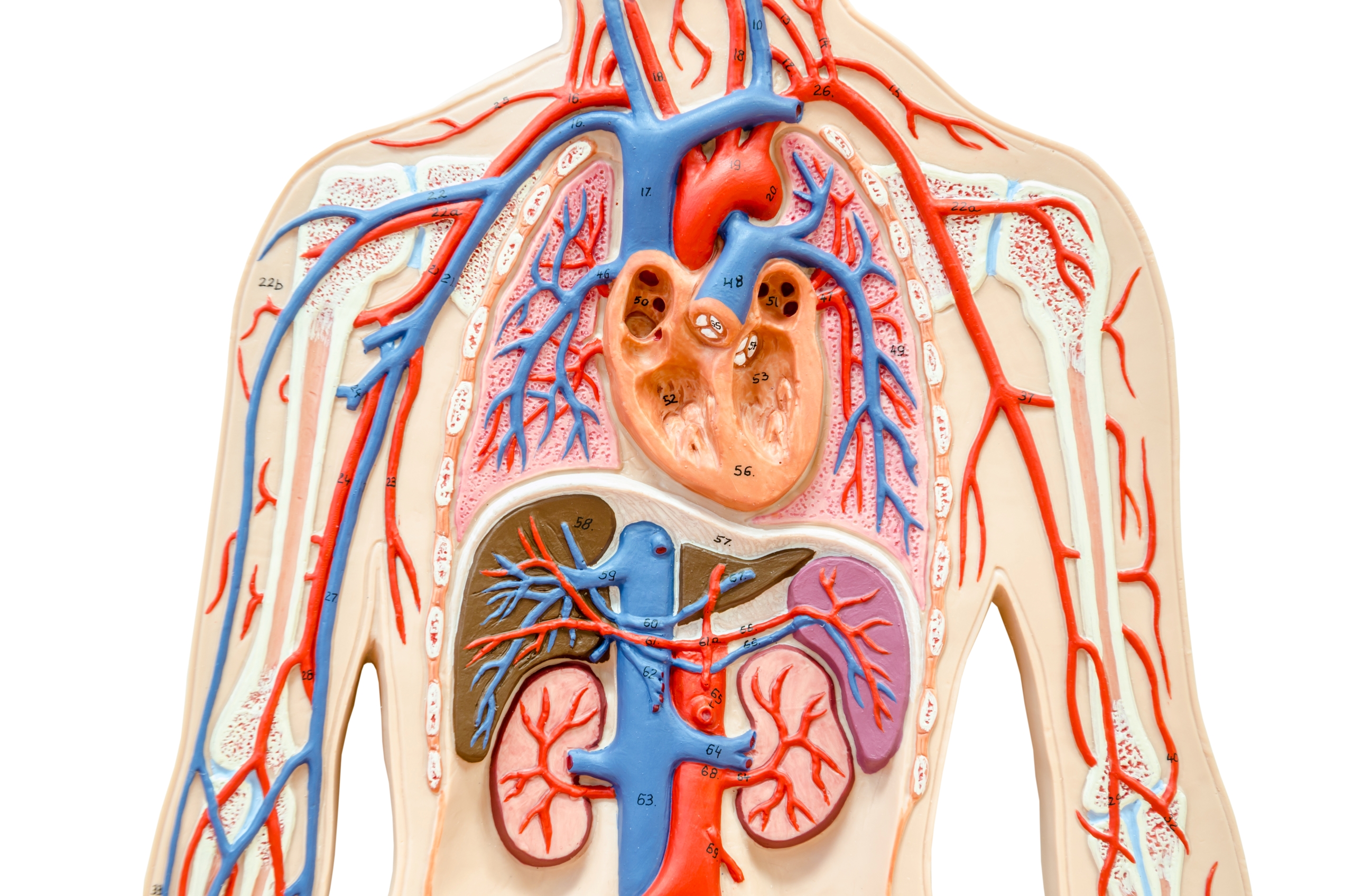 Profit is Oxygen, and Cash is the Hemoglobin - Owings LLC